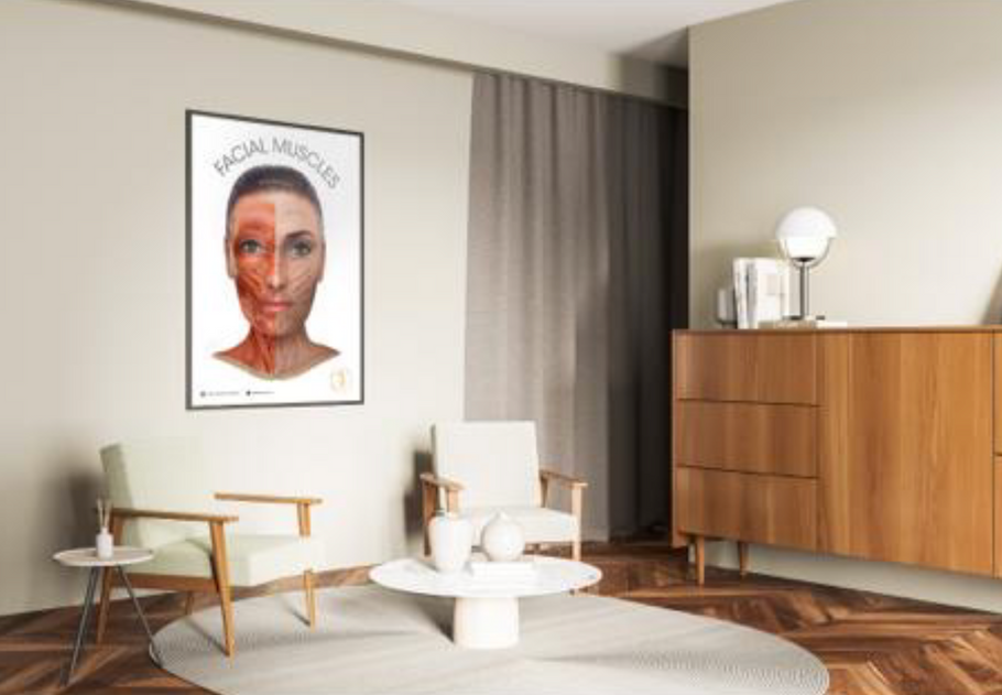 Facial Anatomy Poster Facial Muscles Two Face Aesthetics